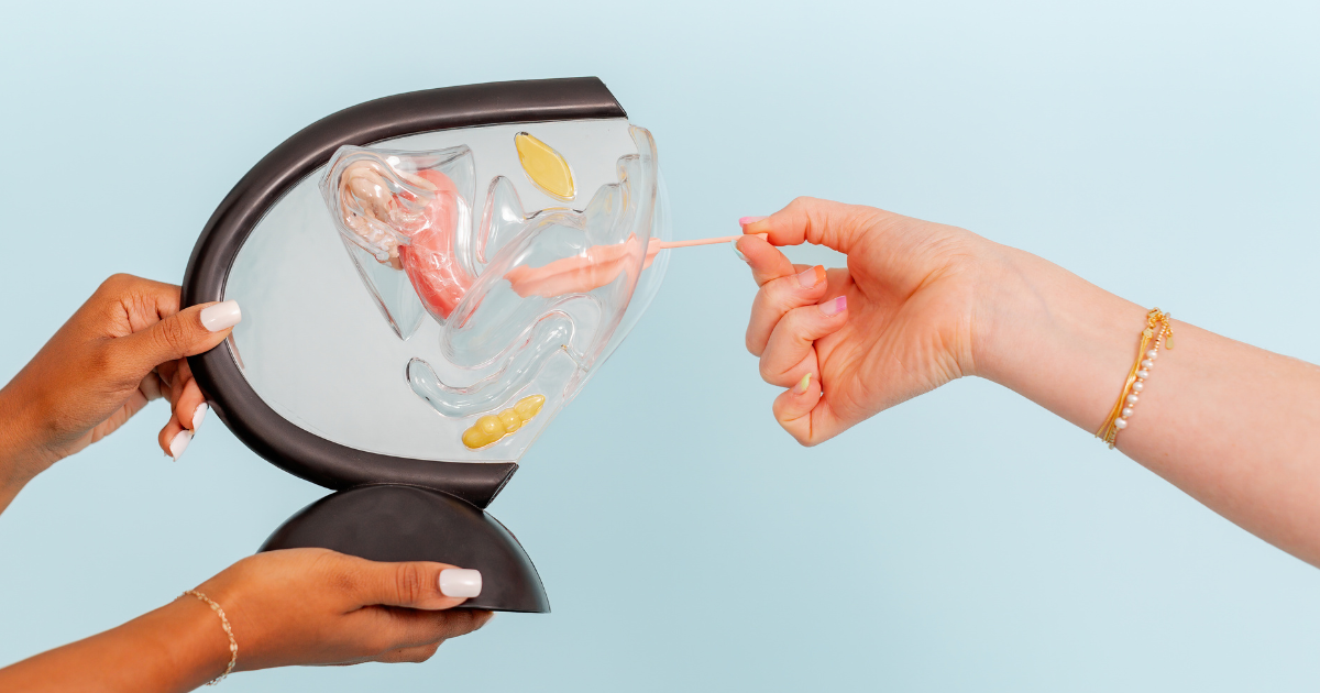 How to Insert a Menstrual Disc without Pain – Pixie Cup