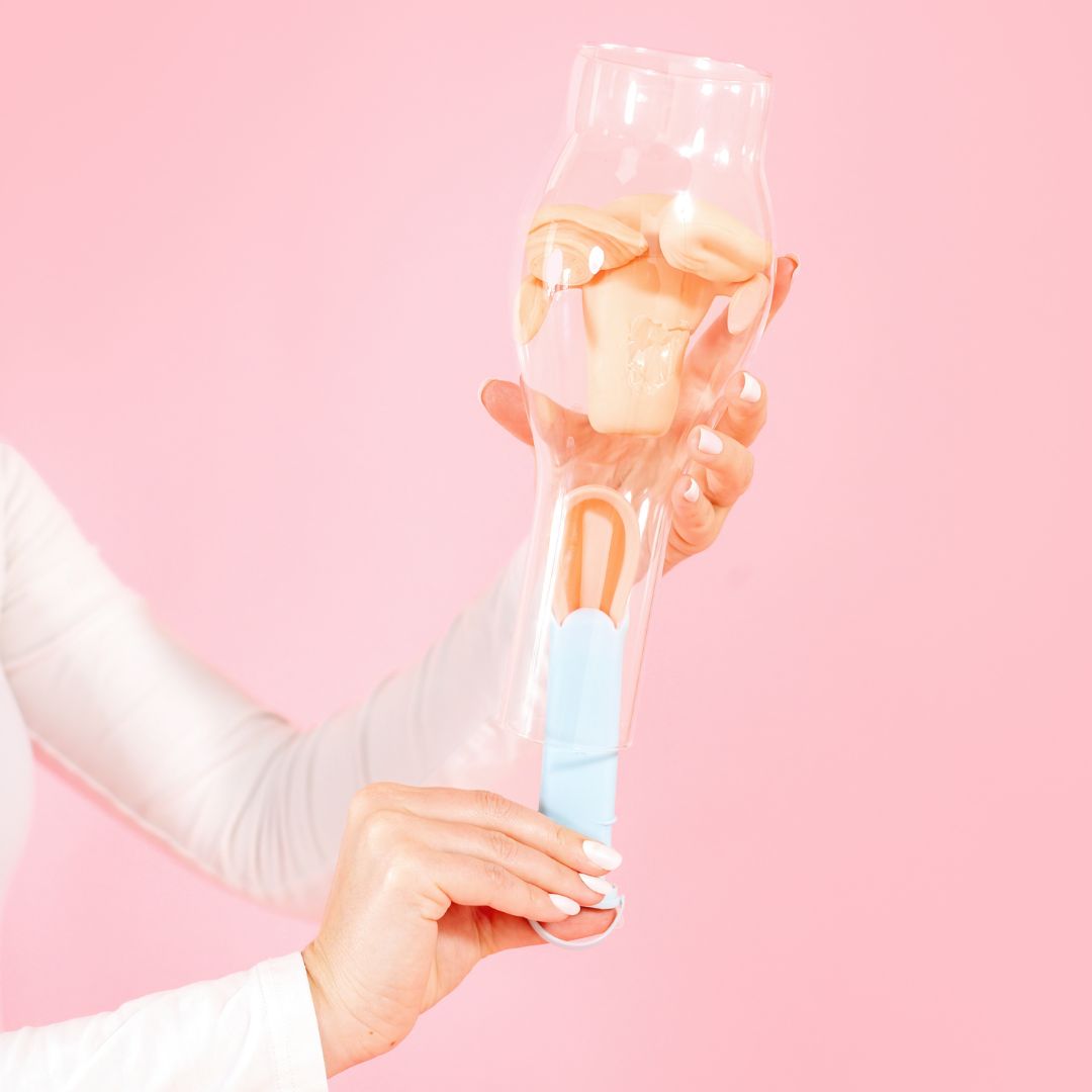 Disc Applicator – Pixie Cup